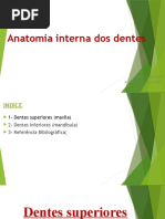 Anatomia do Dente 27: Molar Superior | PDF | Raiz | Dente