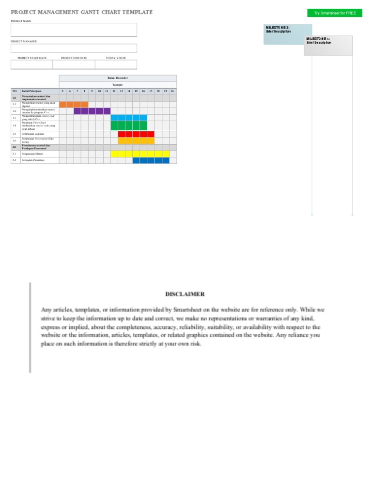 Project Management Gantt Chart Template | PDF | Computers