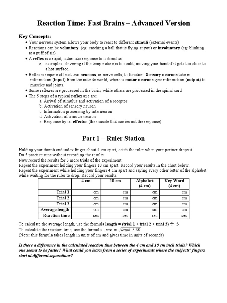 Reaction Time and Reflex Experiments | PDF | Mental Chronometry | Neuron