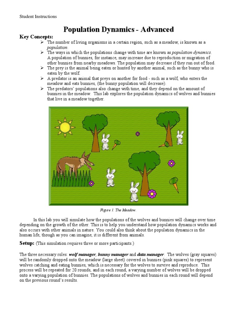 Predator Prey Lab - Advanced | PDF | Predation | Microsoft Excel