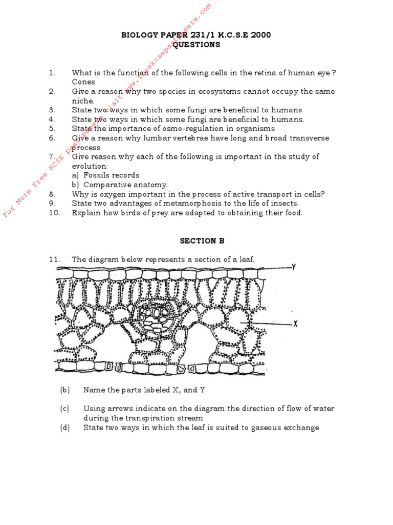 Kcse 2000 Biology Questions | PDF | Biology | Onion