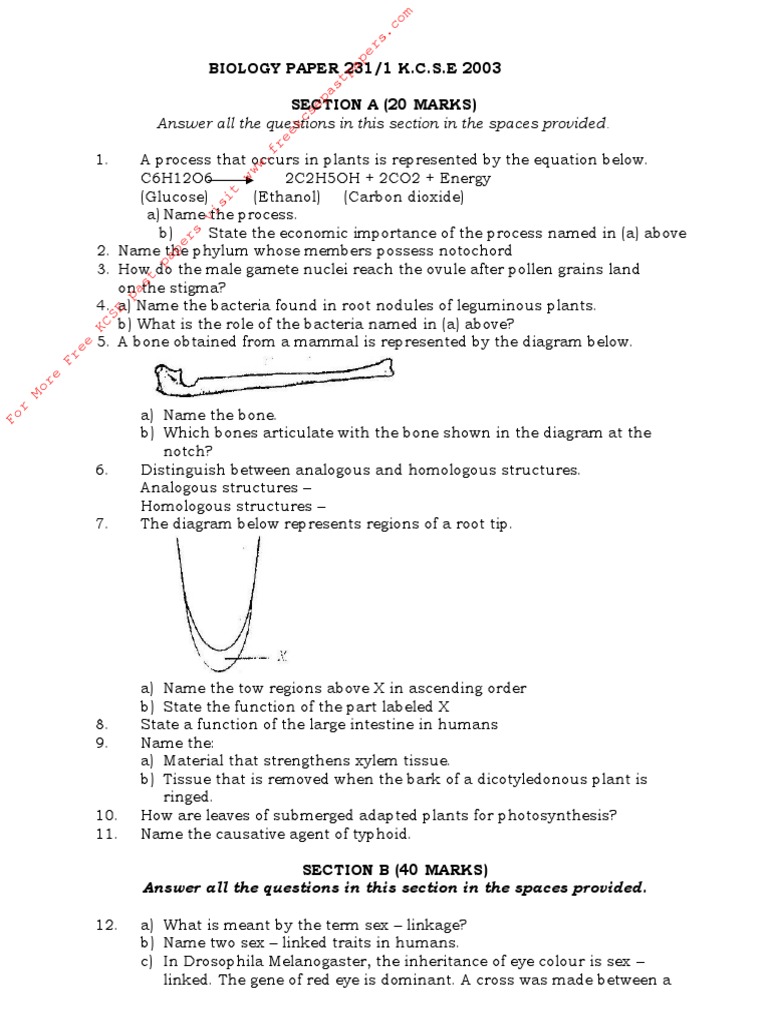 KCSE 2003 Biology Paper 1 Questions | PDF | Biology | Plants