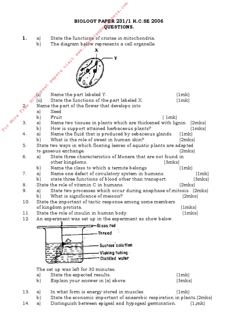 Kcse 2006 Biology Questions | PDF