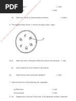 Temporary Slide Preparation Techniques | PDF | Staining | Microscopy