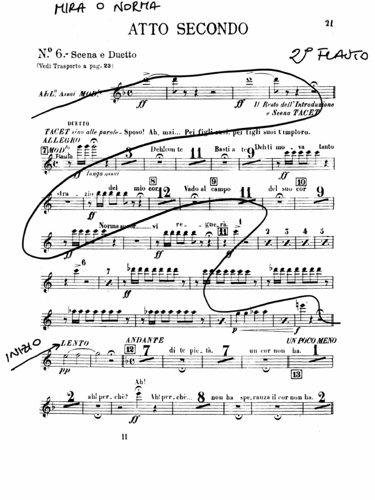 Mira o Norma Fl2-Ott | PDF