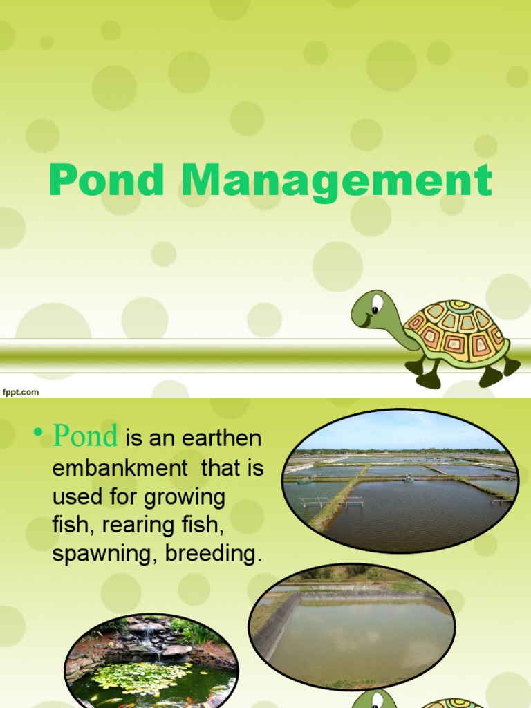 Pond Management - 2023 | PDF | Water | Soil