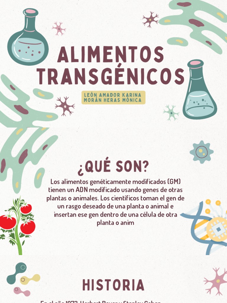 Alimentos Transgénicos: Beneficios y Riesgos | PDF | Salud y bienestar ...