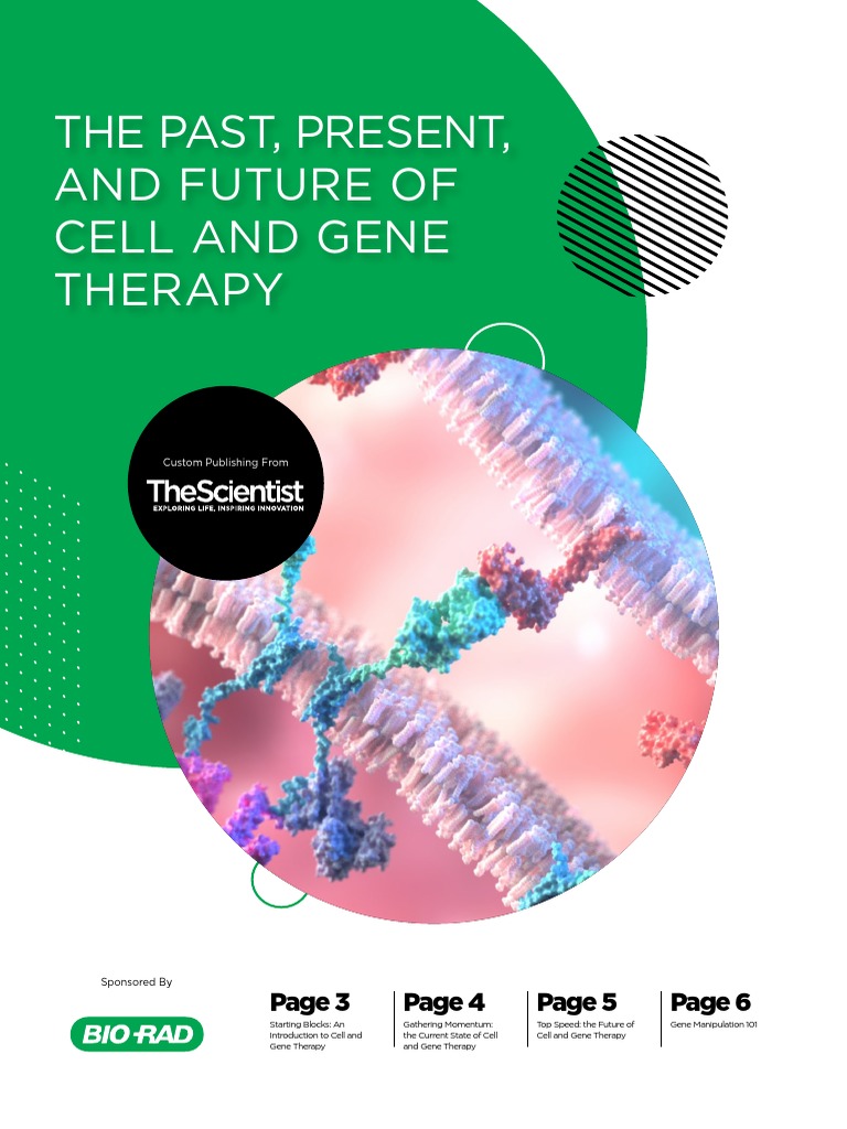 TS Bio Rad Cell - Gene - Therapy Ebook AC V4 D2 FINAL | PDF | Viral ...