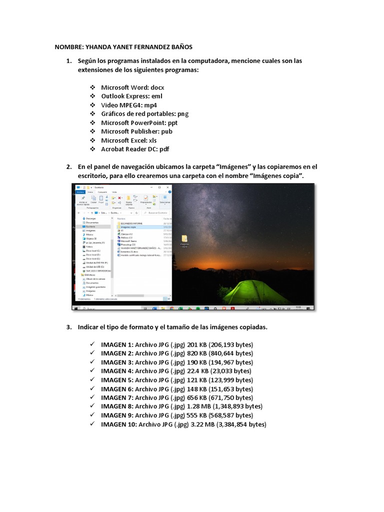 Tarea 3 - Modulo 1 | PDF | Internet | Malware