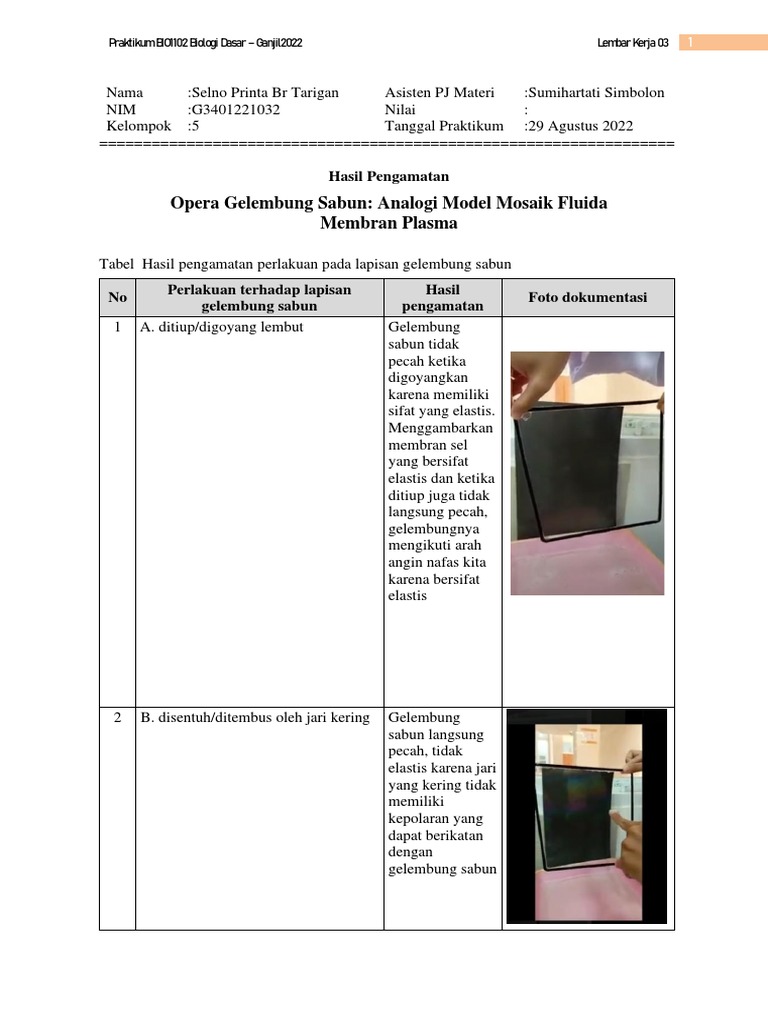 Selno Printa BR Tarigan - G3401221032 - Laporan Opera Gelembung Sabun | PDF