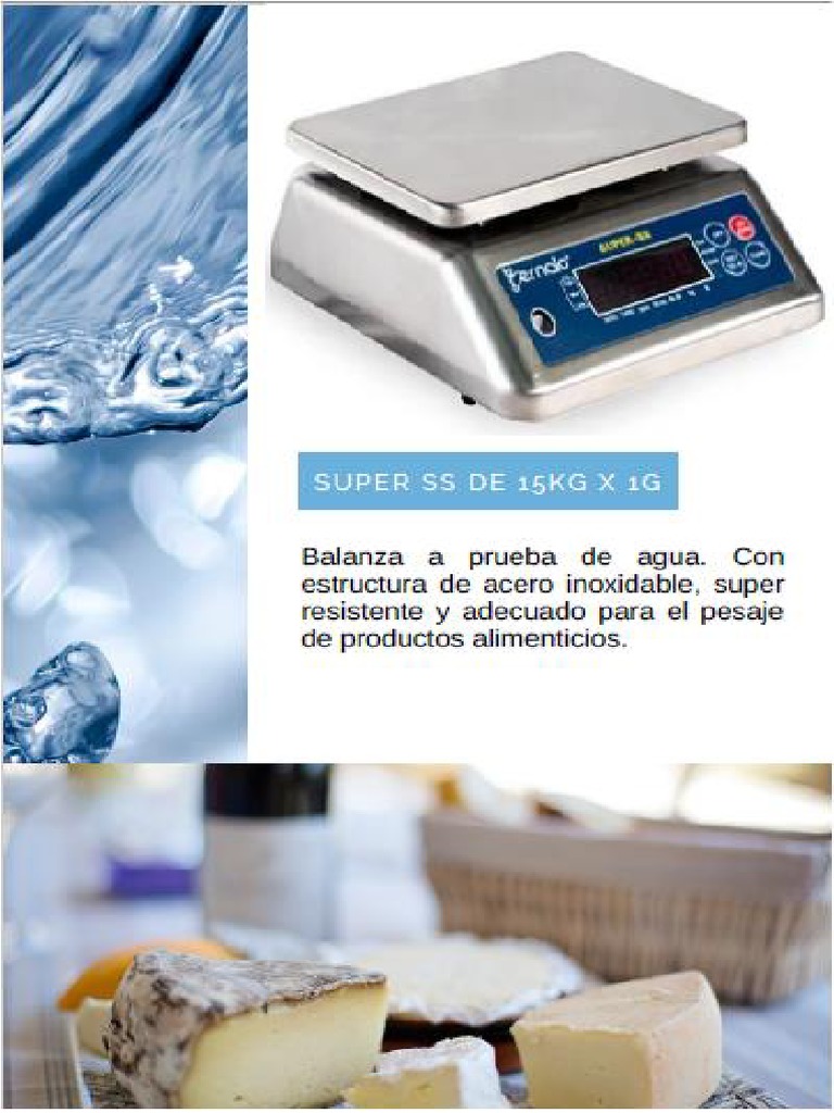 Ficha Tecnica de Balanza SUPER-SS | PDF