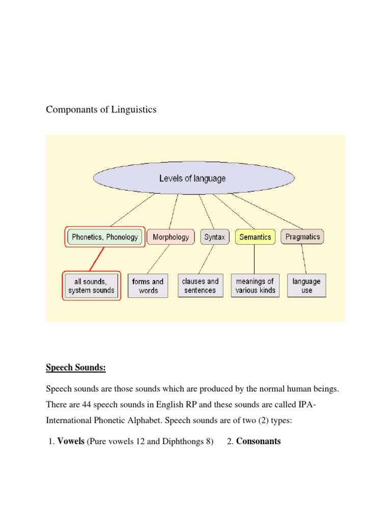 Phonetics | PDF | Vowel | Consonant