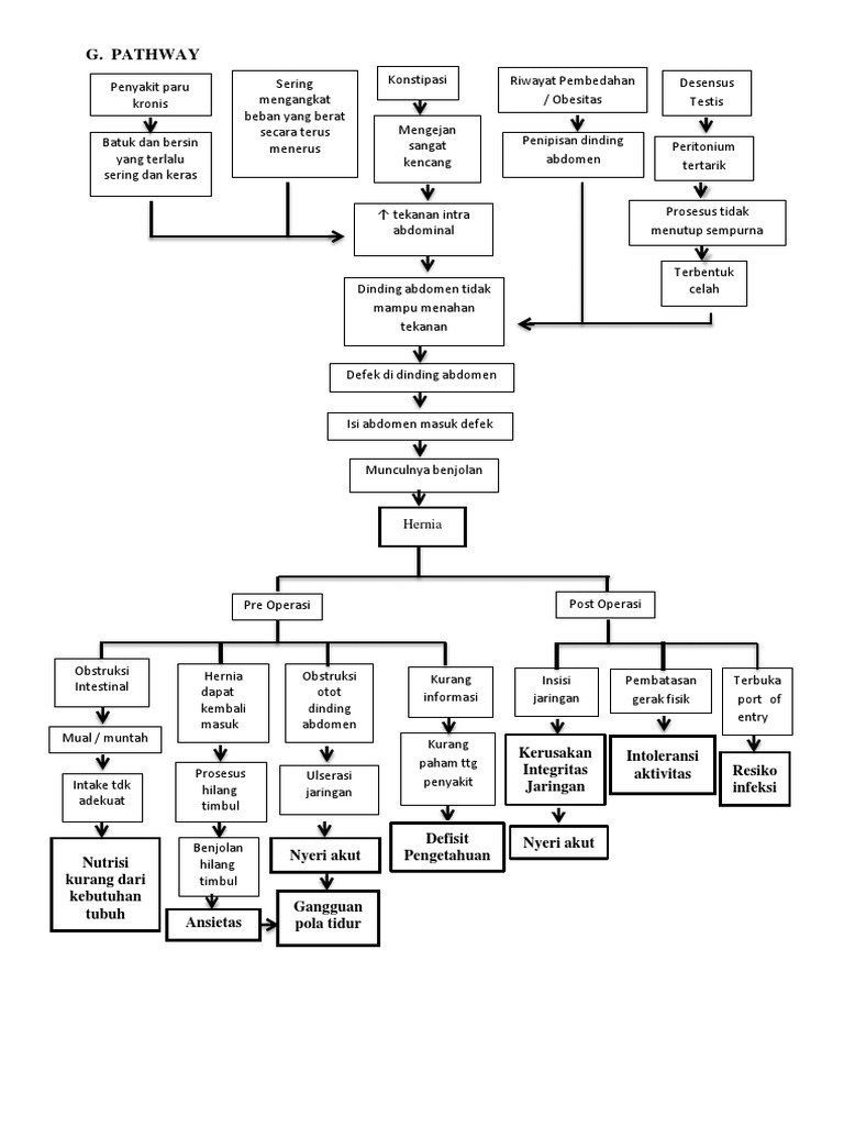 Pathway Hernia | PDF