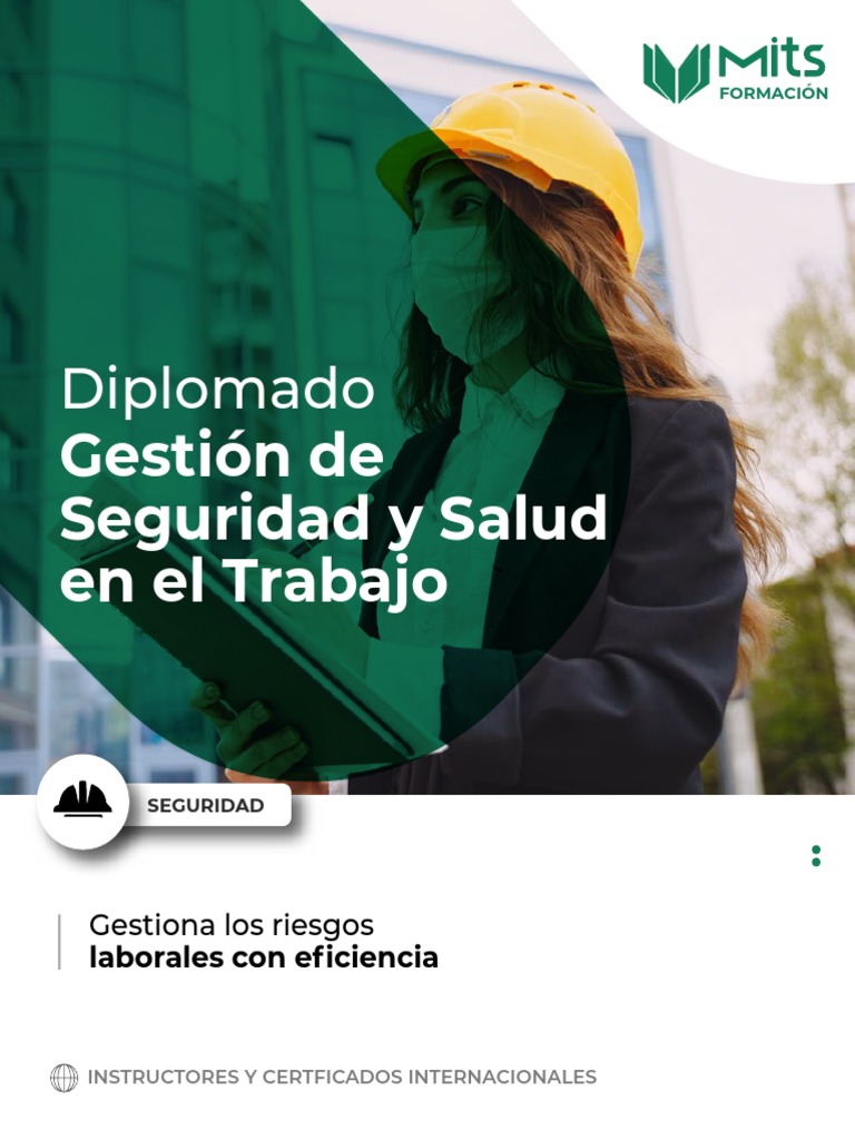 Diplomado: Gestión de Seguridad y Salud en El Trabajo | PDF | Seguridad y salud ocupacional | La ...