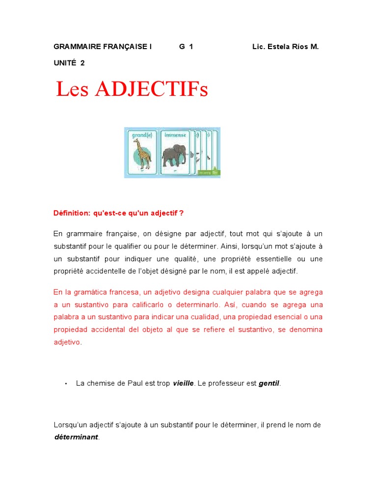 Comprendre les adjectifs en français | PDF | Genre grammatical | Nombre ...