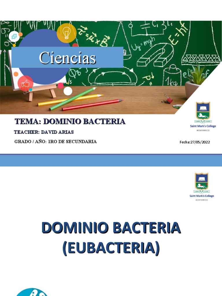 Dominio Bacteria | PDF
