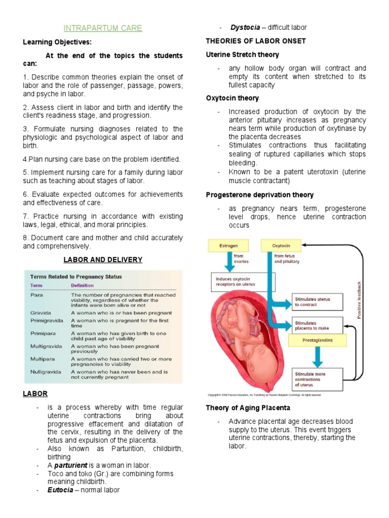 Intrapartum Care and Labor Theories | PDF | Childbirth | Breastfeeding