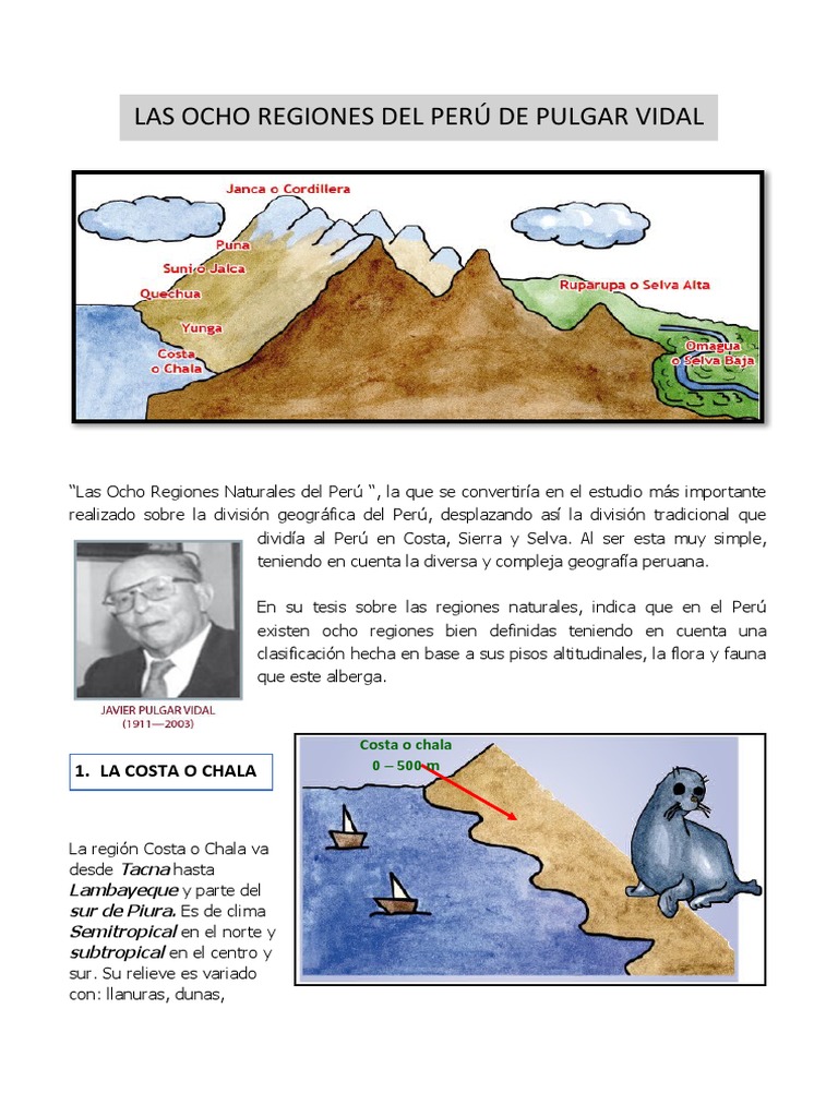 Las Ocho Regiones Naturales Del Perú | PDF