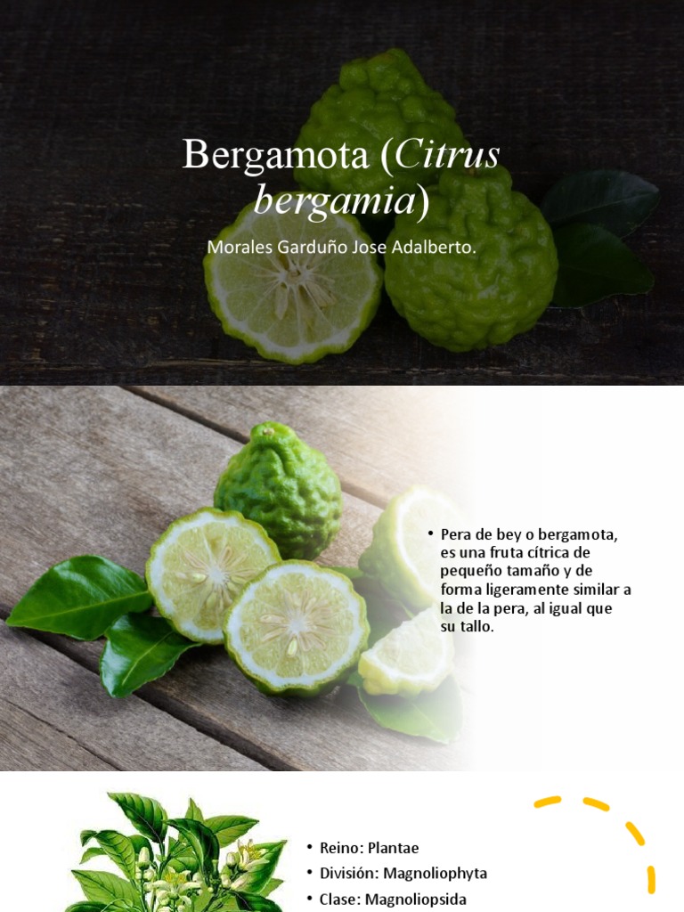 Bergamota (Citrus Bergamia) | PDF | Vitamina | Agrios