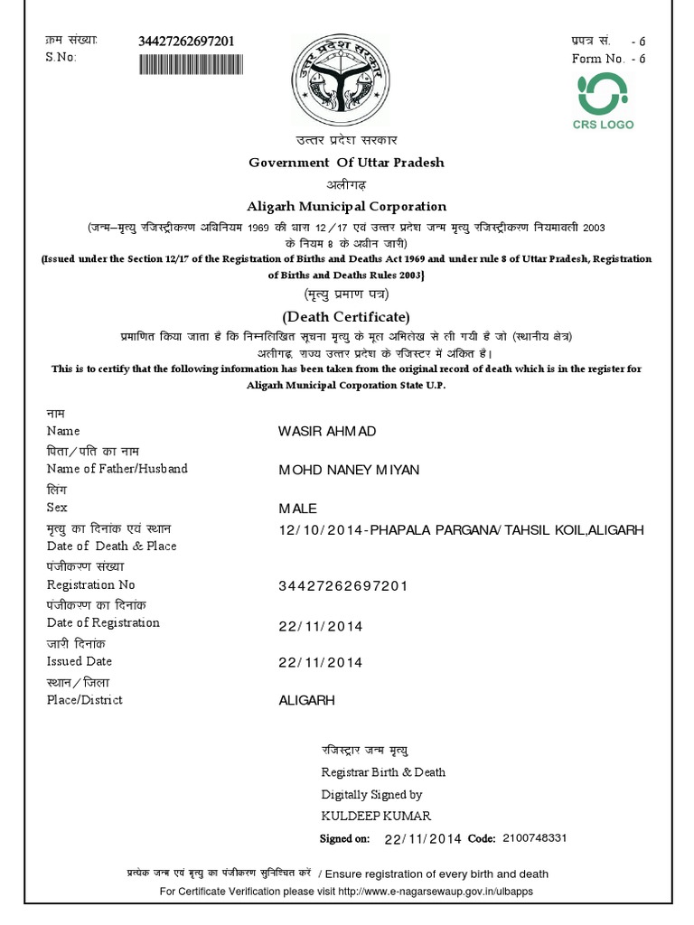 Death Certificate | PDF