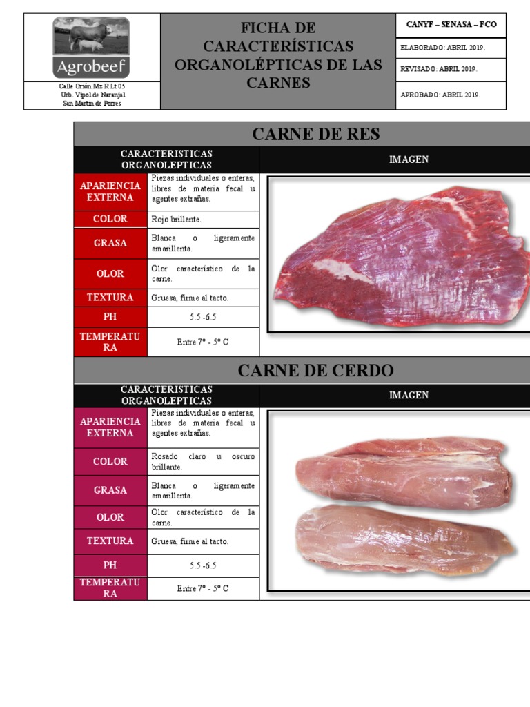 Agrobeef - Senasa - Ficha de Caracteristicas Organolepticas Carnes Res y Cerdo | PDF