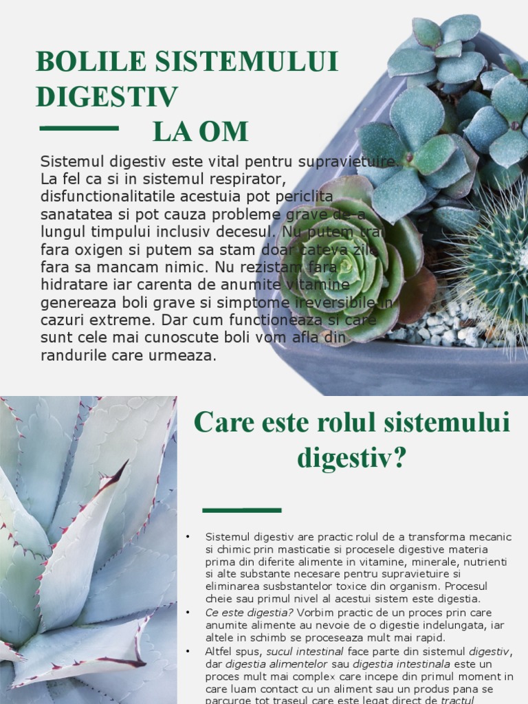 Bolile Sistemului Digestiv | PDF