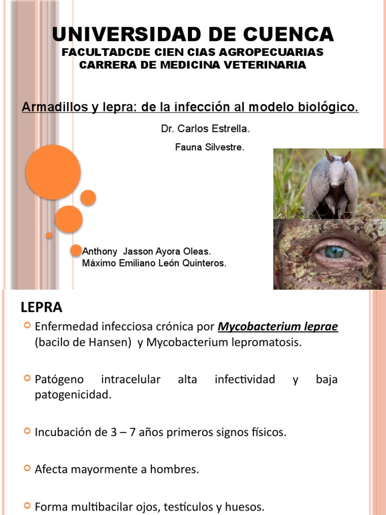 Armadillo - Lepra | PDF | Lepra | Infección