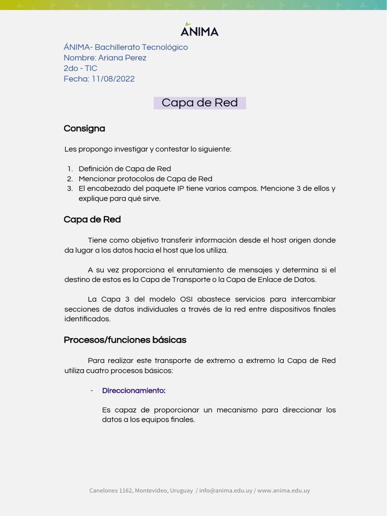 Características de La Capa de Red - Ariana Perez | PDF | Protocolos de ...