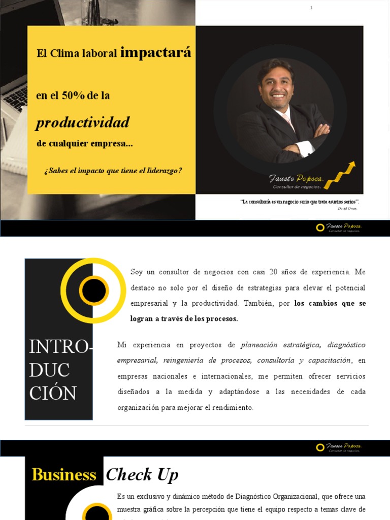 Fausto - po.Poc.a.consultor1718FINAL FINAL | PDF | Liderazgo | Economias