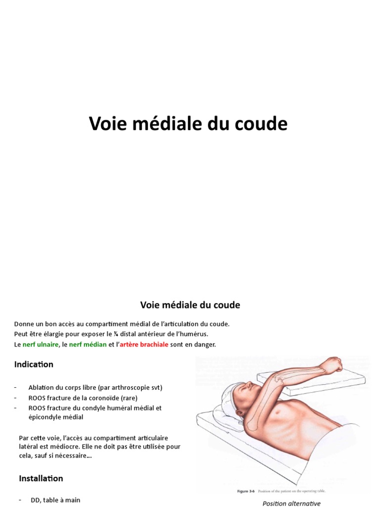 Voie Médiale Du Coude | PDF | Membres (anatomie) | Anatomie humaine