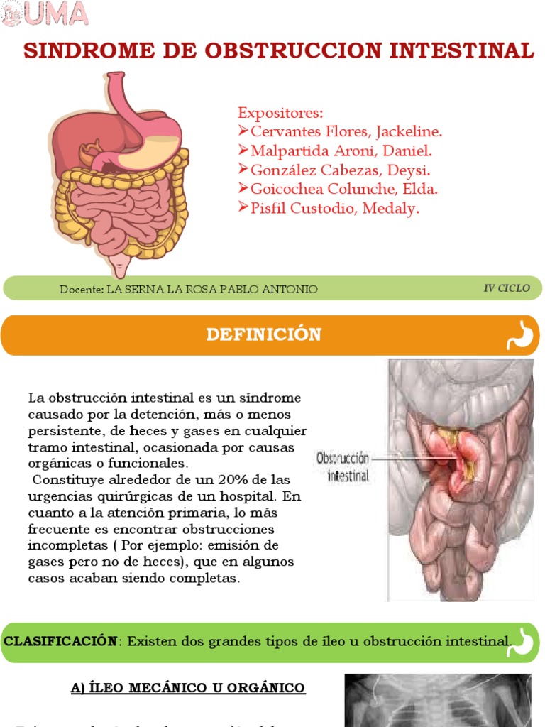 Síndrome de Obstrucción Intestinal | PDF | Intestino grueso | Medicina ...
