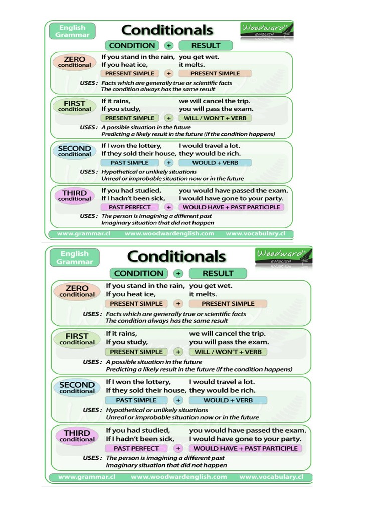 Conditionals (Picture) | PDF