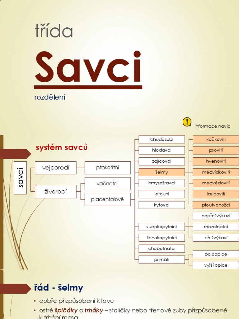 Prirodopis Zapis Savci 3 Selmy | PDF
