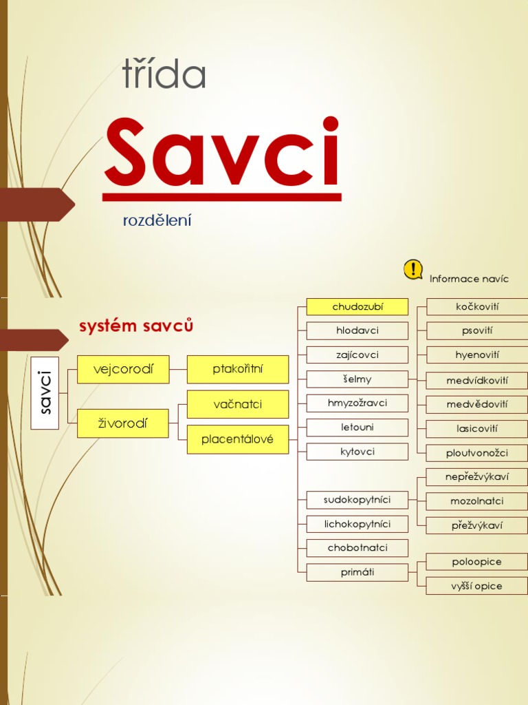 Prirodopis Zapis Savci 1 Vejcorodi Chudozubi | PDF