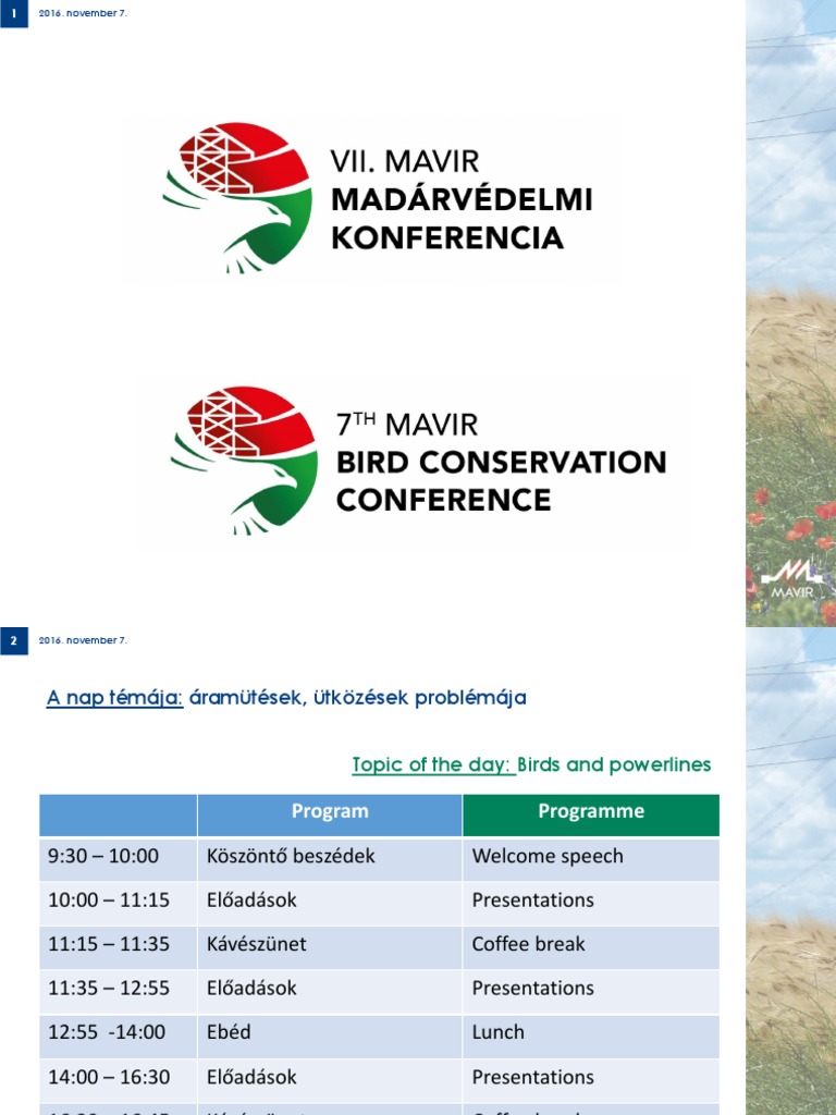 01 Biro Gyorgy | PDF