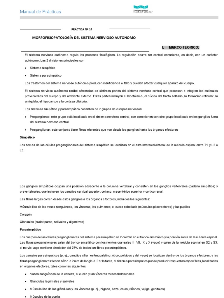 annotated-Pr%C3%A1ctica%20%2014%20del%20sistema%20nervioso%20simpatico ...