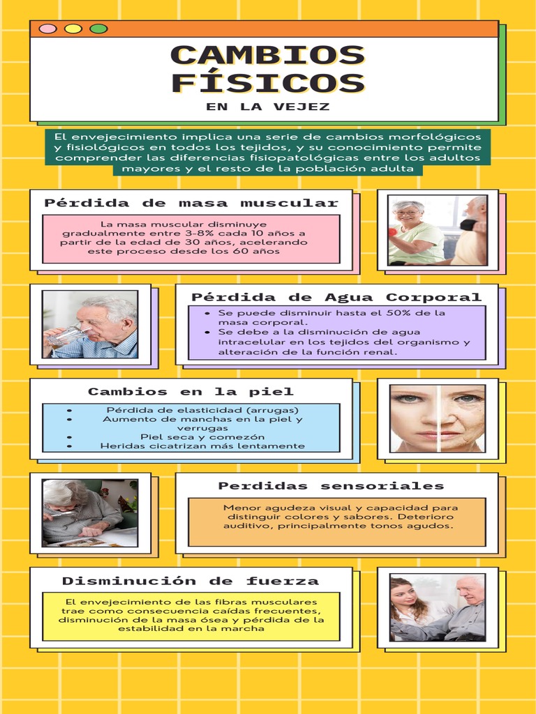 Cambios Fisicos en La Vejez Infografia | PDF