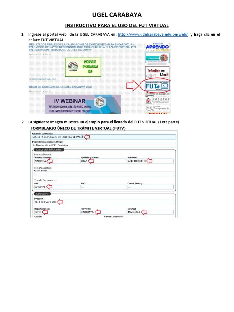 Manual Fut Virtual-Ugel Carabaya | PDF