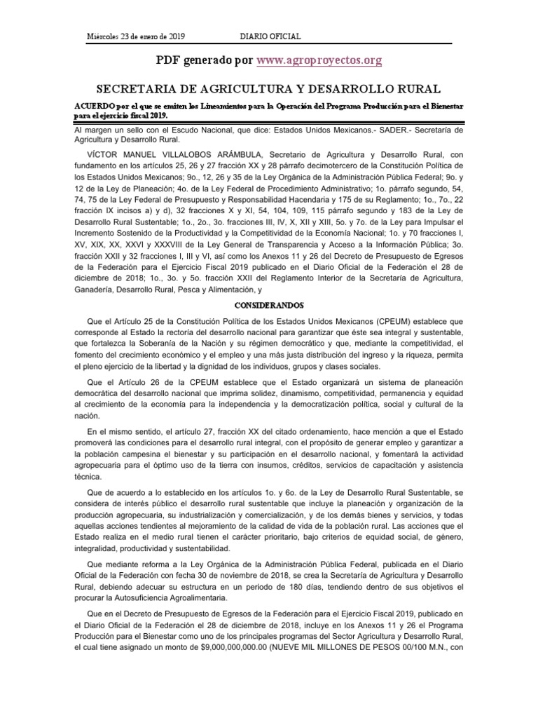 Lineamientos-Bienestar-SADER-2019 5437 | PDF | Agricultura | Presupuesto