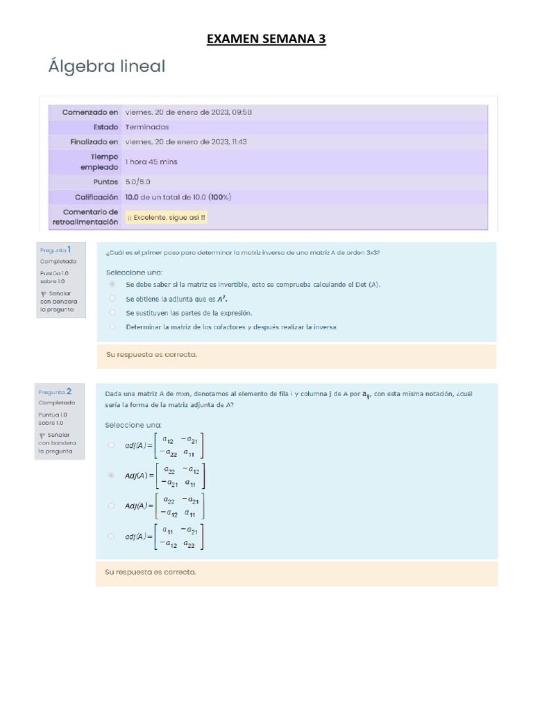 Examen Algebra Lineal Semana 3 | PDF Examen Algebra Lineal Semana 3 | PDF