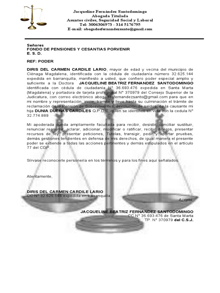 Poder Porvenir | PDF