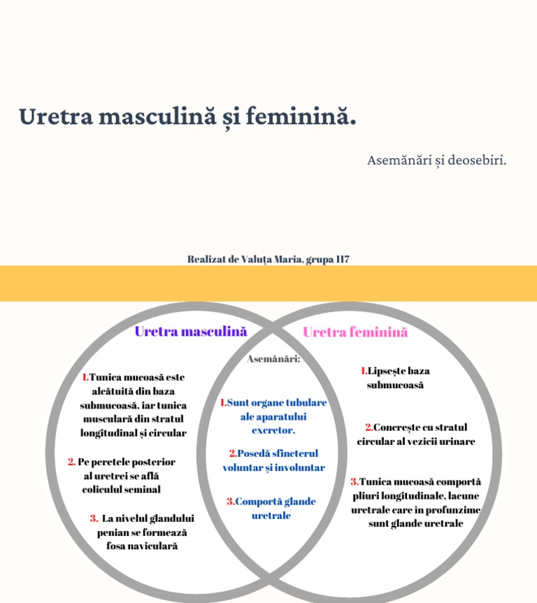 Studiu Individual Anatomie, NR 1 | PDF