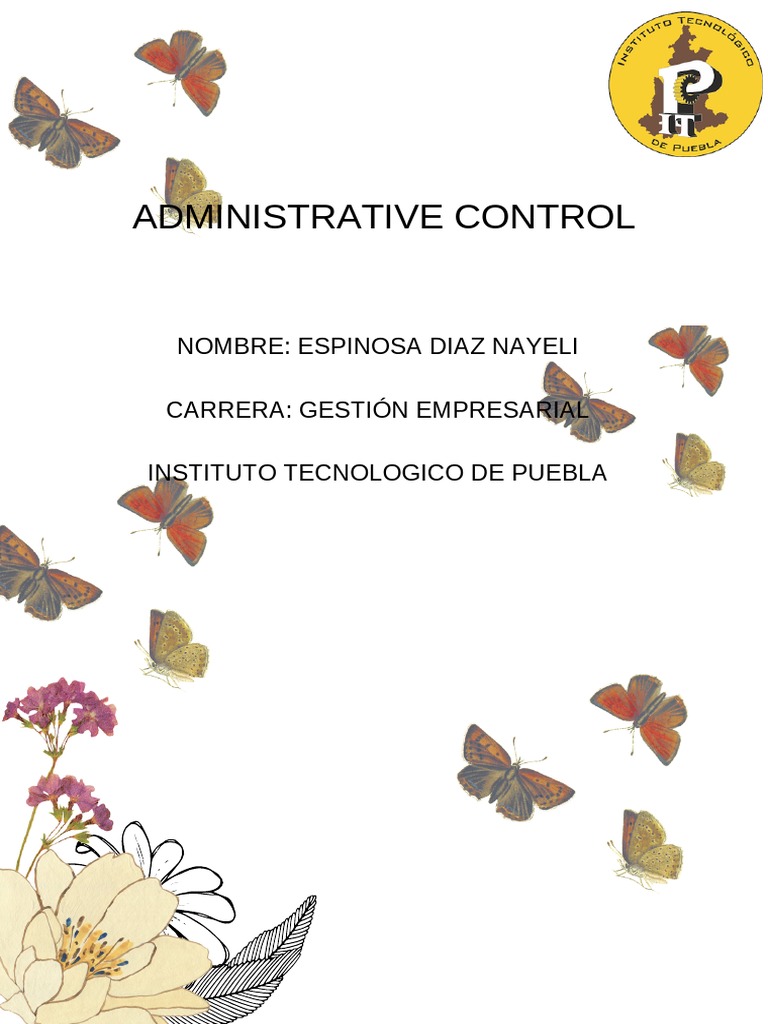 Administrative Control | PDF | Information | Inventory