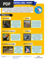 Infografía de Revolucion Rusa | PDF