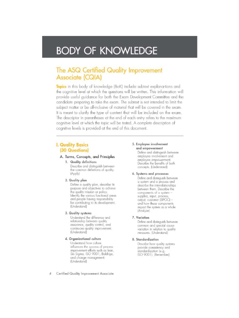 Cqia Body of Knowledge | PDF