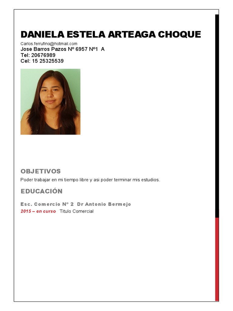 CV Daniela | PDF