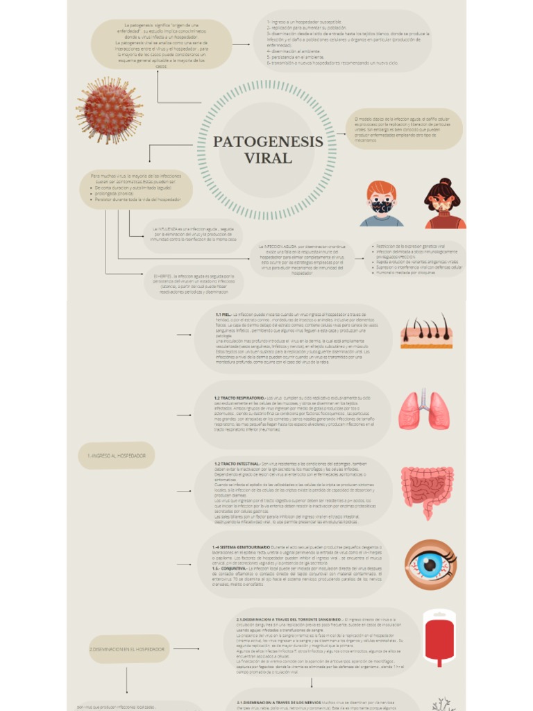Patogenesis Viral | PDF