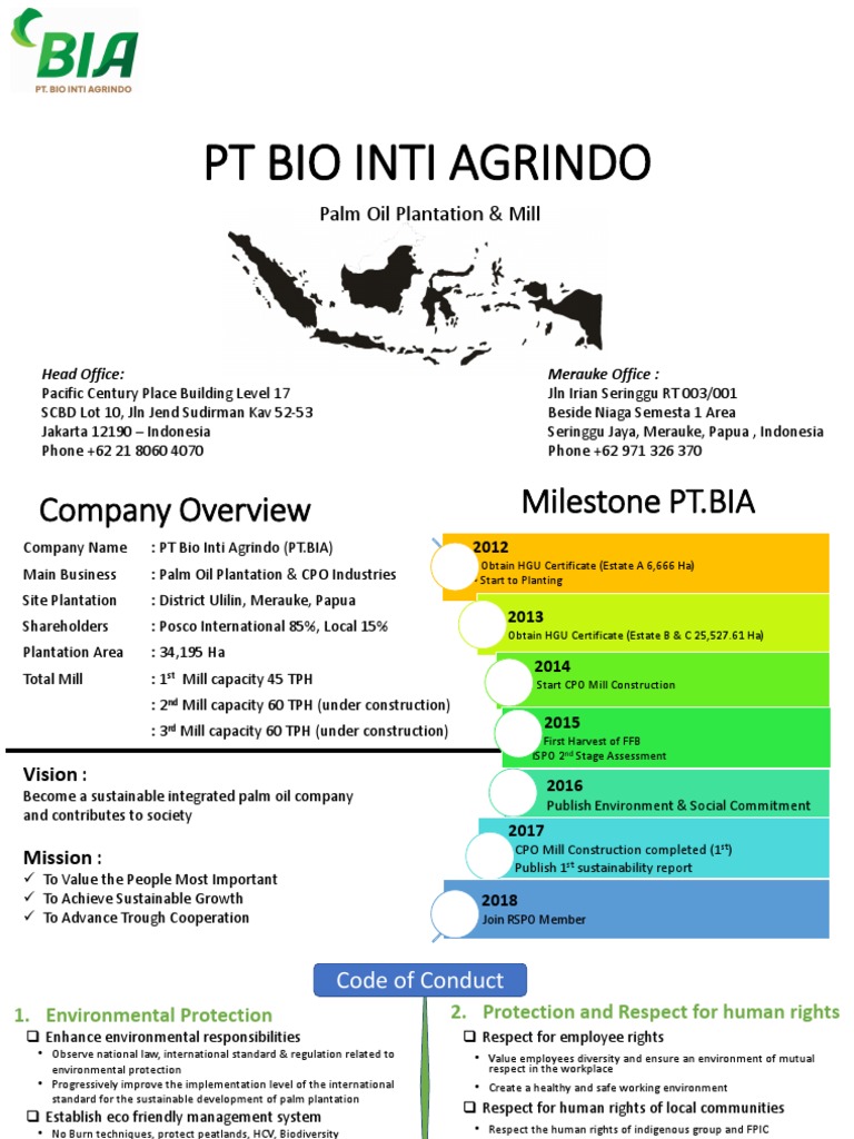 PT Bio Inti Agrindo Overview | PDF | Sustainability | Sustainable ...