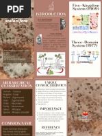 7es Detailed Lesson Plan Hierarchy of Taxonomic Classification | PDF ...