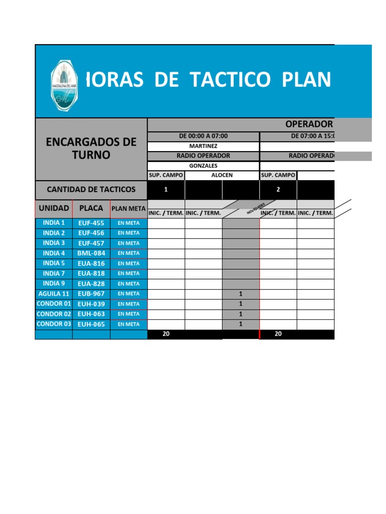 Horas de Tactico | PDF